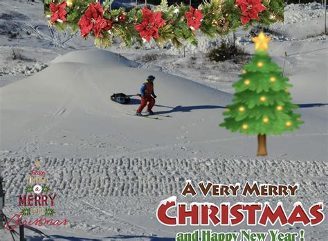 Donna Ludlow Paddon On Linkedin Roshell Industries And Team Skizee Staff Wish You All Health