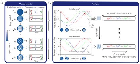 Wavefront Shaping And Its Application To Enhance Photoacoustic Imaging