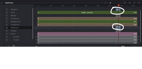 default effect frame super long r davinciresolve