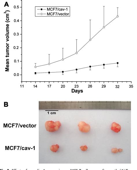Figure 3 From Growth Suppression Of Mcf 7 Cancer Cell Derived