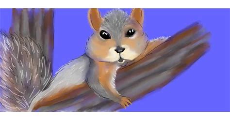 Drawing Of Squirrel By DebbyLee Drawize Gallery