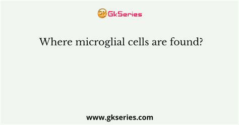 Where Microglial Cells Are Found