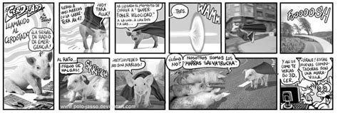 El Cerdotado Y Co By Polo Jasso On Deviantart