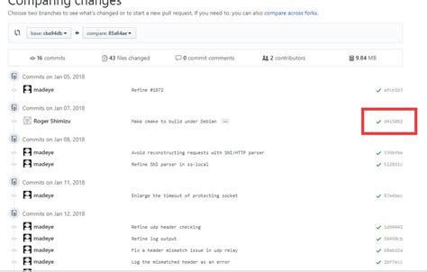 Did Shadowsoks Libev Change Code About Dns Resolving Since Issue Shadowsocks