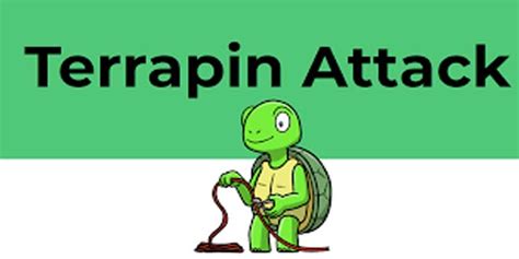 Nearly 11 Million Ssh Servers Vulnerable To Terrapin Attacks