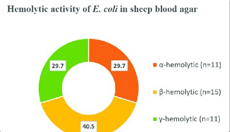The Hemolytic Activity Of The E Coli Isolates On The Sheep Blood Agar