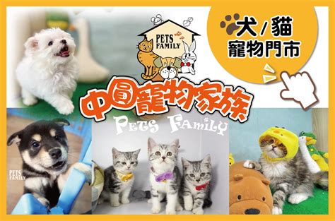 合法寵物店嚴選｜品種犬貓購買 小白故事 幼犬貓買賣知識分享 合法寵物店