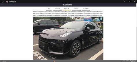 ssm php node python汽车租赁系统 csdn博客