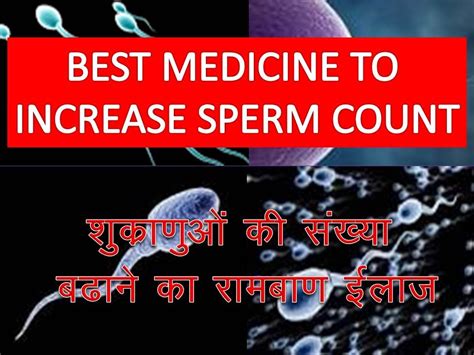 HOW TO INCREASE SPERM COUNT NATURALLY YouTube