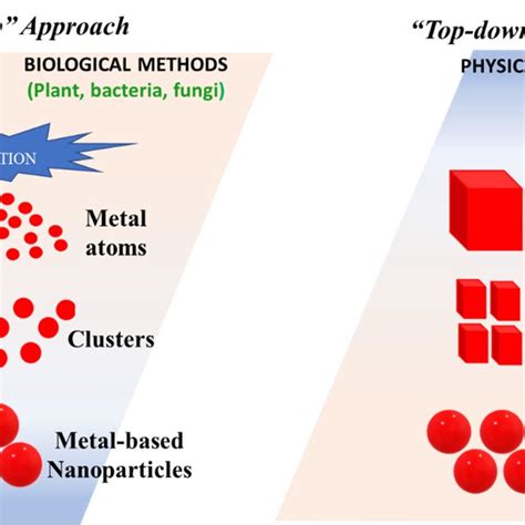 PDF Metal Based Nanoparticles As Antimicrobial Agents An Overview