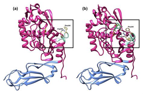 Pdb 101 Global Health Antimicrobial Resistance Undefined Cefoxitin