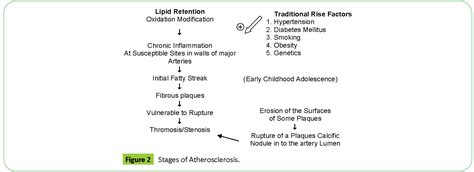 Atherosclerosis Pathogenesis