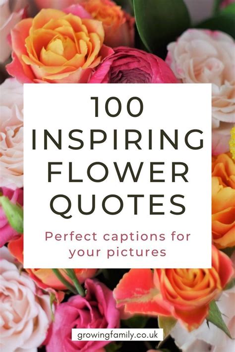 100 Beautiful Flower Quotes And Captions For Instagram