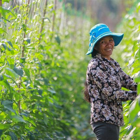 Grant Funded Projects Cambodia World Vision International