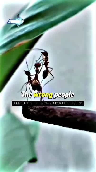 Saurav Kumar On Linkedin Cybersecurity Cybersecurityengineer