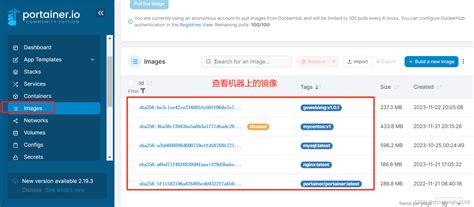 Docker 十一docker Swarm集群raft算法docker Swarm Web管理工具 Csdn博客