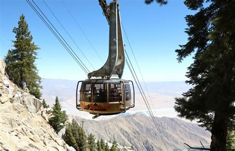 Explore Palm Springs The Top Things To Do Where To Stay And What To