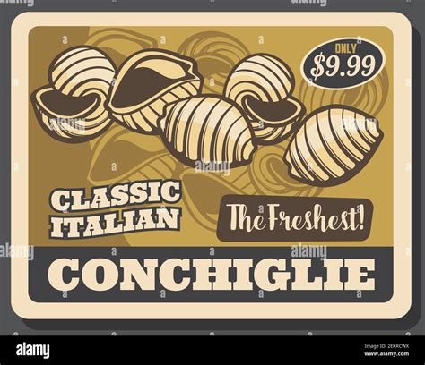 Conchiglie Pasta Vector Design Of Italian Cuisine Seashell Macaroni In