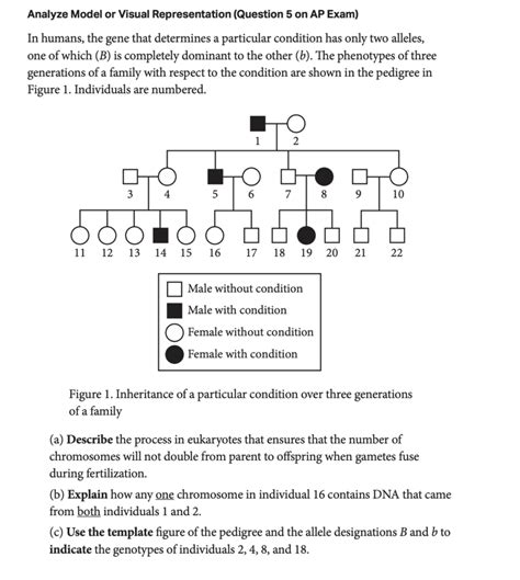 Ultimate Guide To The AP Biology Exam CollegeVine Blog