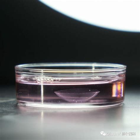 Imagine Bioprint 发挥您的想象力！一起见证生物打印的力量 知乎