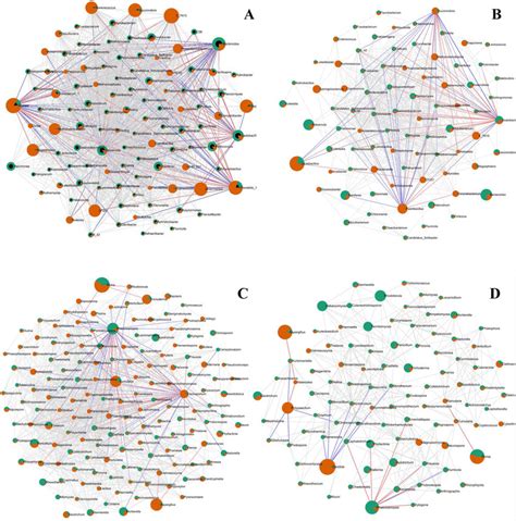 Network Analysis In Bacteria And Fungi In Seed And Leaf Microbiome Of Download Scientific