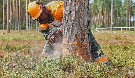 STIHL Chainsaw Reviews Red Lights Are Highly Collectible