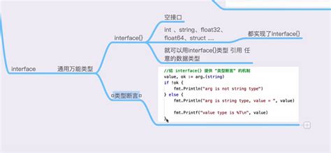 Golang20 面向对象多态、interface Golang教程网