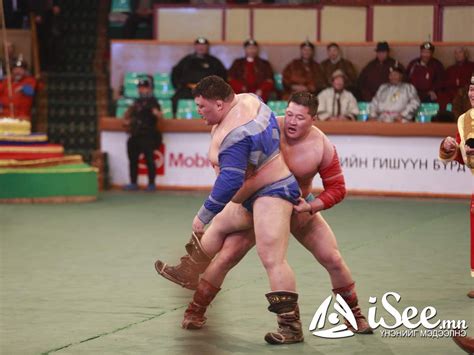 Цагаан сарын баярыг хүртэлх бүх өдрүүдэд Үндэсний бөхийн барилдаан болно Isee Mn