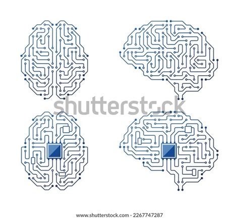 Cerebellar Electric Circuit Pathways Indicate Flow Stock Vector Royalty Free 2267747287