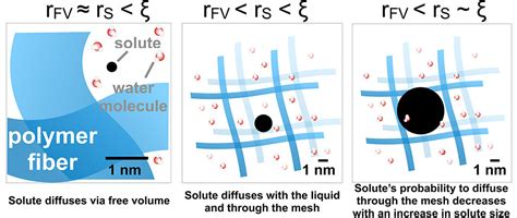 Case Of The Hidden Assumptions Koshland 2002 Biochemistry 49 Off