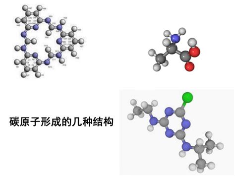 12 生物大分子以碳链为骨架 课件【新教材】浙科版2019高中生物必修一共29张ppt21世纪教育网 二一教育