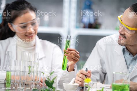 화장품 화학 연구 의료 자연의 잎과 녹색 초본 오일 기술의 화학 생명 공학 과학의 안경 튜브에서 유기 식물 실험 시험의 의학
