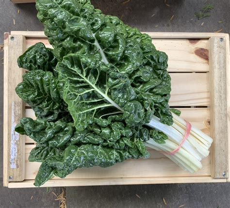 Silverbeet Box Healthy World