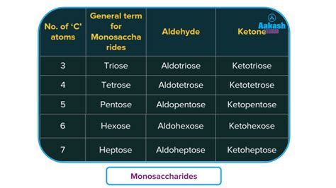 Classification Of Carbohydrates With Definition Types Meat Technology