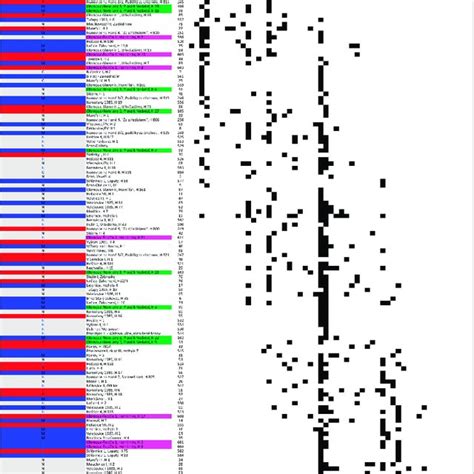Orders Obtained From Bk Seriation Of Bbc Sample From All Of Moravia