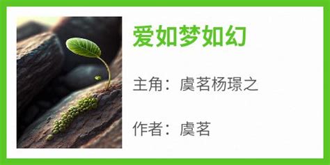 虞茗杨璟之小说爱如梦如幻免费阅读 IT屋博客