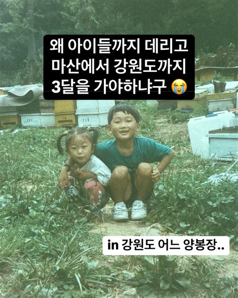 꿀며든다 I 54년 양봉농부 I 천연 벌꿀 100 23살에 덜컥 시집을 왔는데 남편이 사실 꿀벌을 키운단다 설상가상 꿀벌이 좋단다🐝 ️ 저 사람이 제정신인가