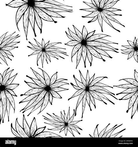 Seamless Background Pattern With Edelweiss Vector Abstract Flower Sketch Design On White