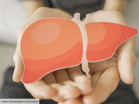 Maladies du foie quels sont les signes précurseurs dune pathologie hépatique