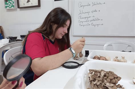 Aula Prática De Identificação Fungos Cecam Colégio Bilíngue