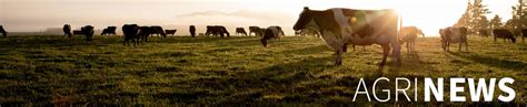 Reducing Staph Aureus Infections To Produce More Milk Of Higher Quality