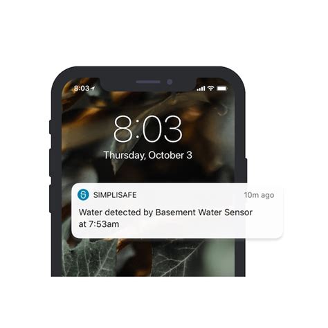 Simplisafe Indoor Smart Water Leak Detector Wts301 At