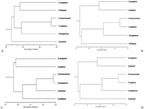 Dendrogram Generated Using Unweighted Pair Group Method With Arithmetic