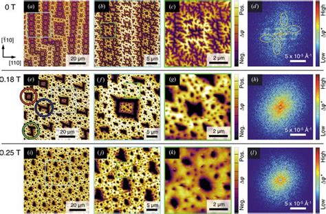 Iucr Unveiling The Anisotropic Fractal Magnetic Domain Structure In Bulk Crystals Of
