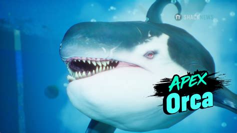 All Apex Predators Maneater Shacknews