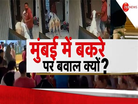 Controversy On Goat In Mumbai Mira Road Society People Raised Slogans