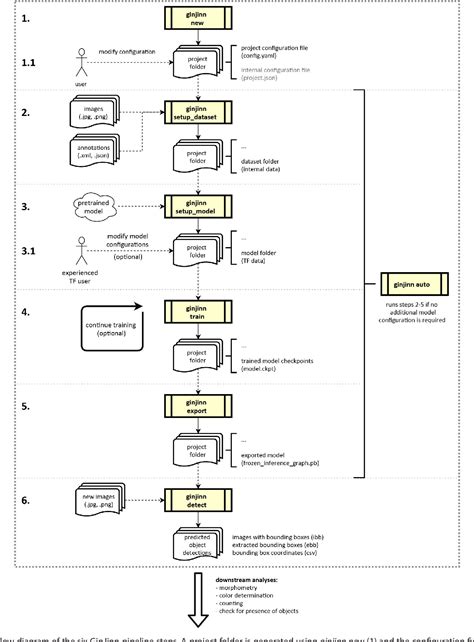 figure 1 from ginjinn an object‐detection pipeline for automated