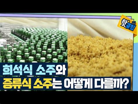 핫클립 소주의 종류와 변천사 Ytn 사이언스