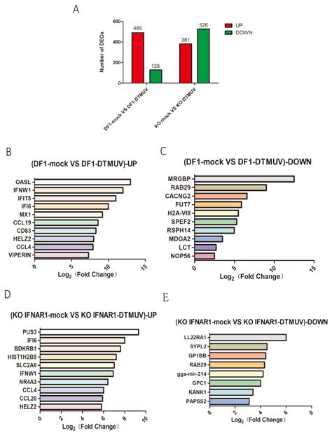 Viruses Free Full Text Construction And Transcriptomic Study Of