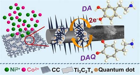 Ti3c2tx 修饰碳布表面多孔 Nicop 纳米线阵列用于多巴胺的灵敏测定 Acs Applied Nano Materials X Mol
